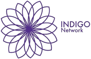 BACE – The INDIGO Network